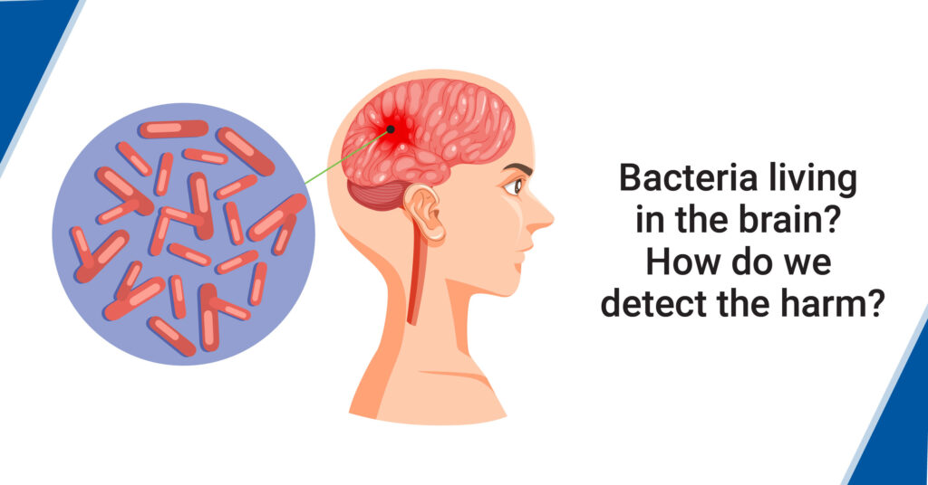 Bacteria living in the Brain? How do we detect the harm?
